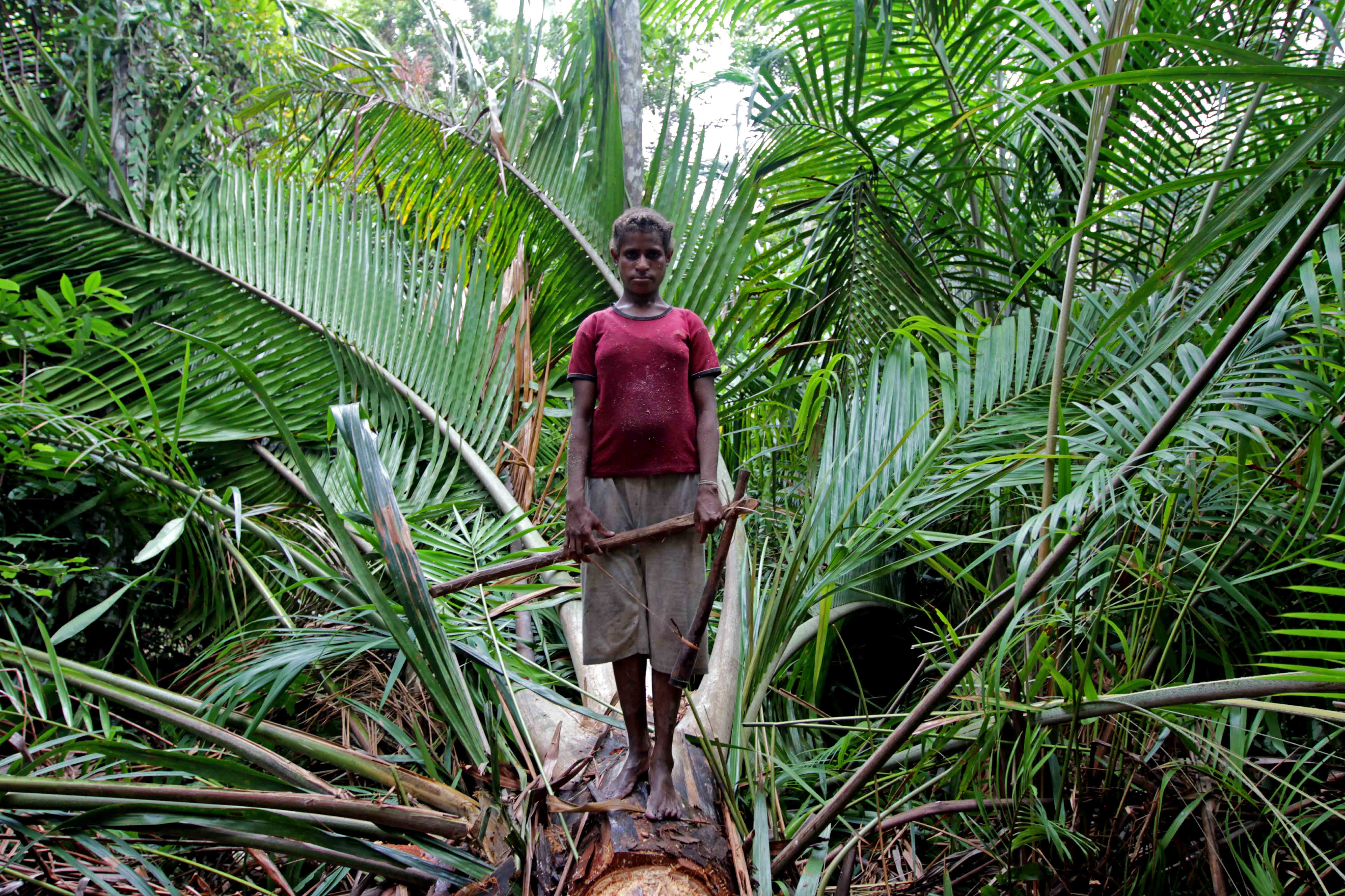 Merauke, Papua - Aliansi Masyarakat Adat Nusantara